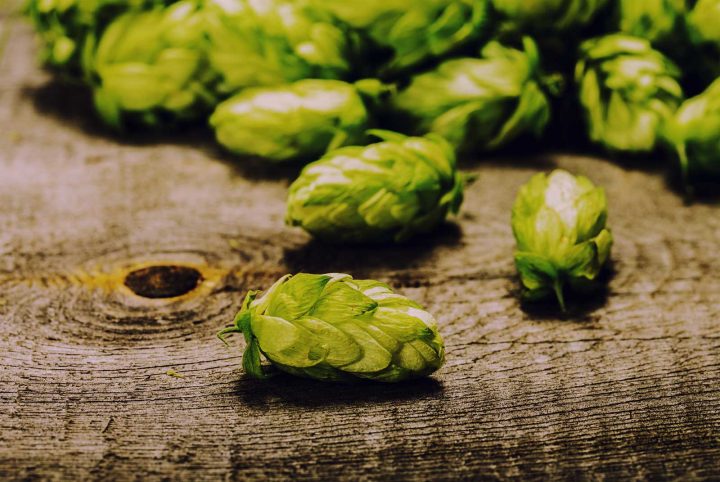 An Exhaustive Guide to Hops (And Where To Get Them!) - Brewhoppin